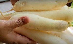 Kilawing Labanos: A Refreshing Filipino Radish Salad - Yummy Kitchen