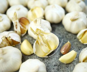 What is Garlic ? A short history, guide and list of benefits - Yummy ...