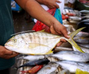 Galunggong - The Budget Friendly Fish (or "Round Scad ") - Yummy Kitchen