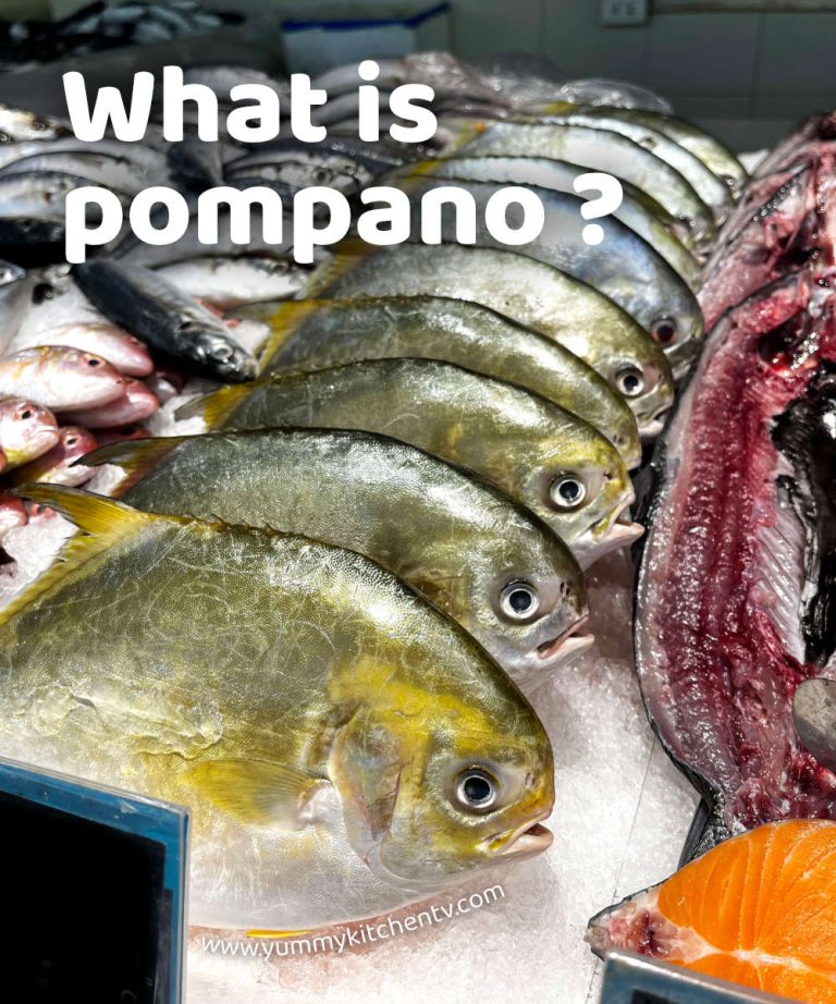 What is Pompano ? The world's most edible fish - Yummy Kitchen
