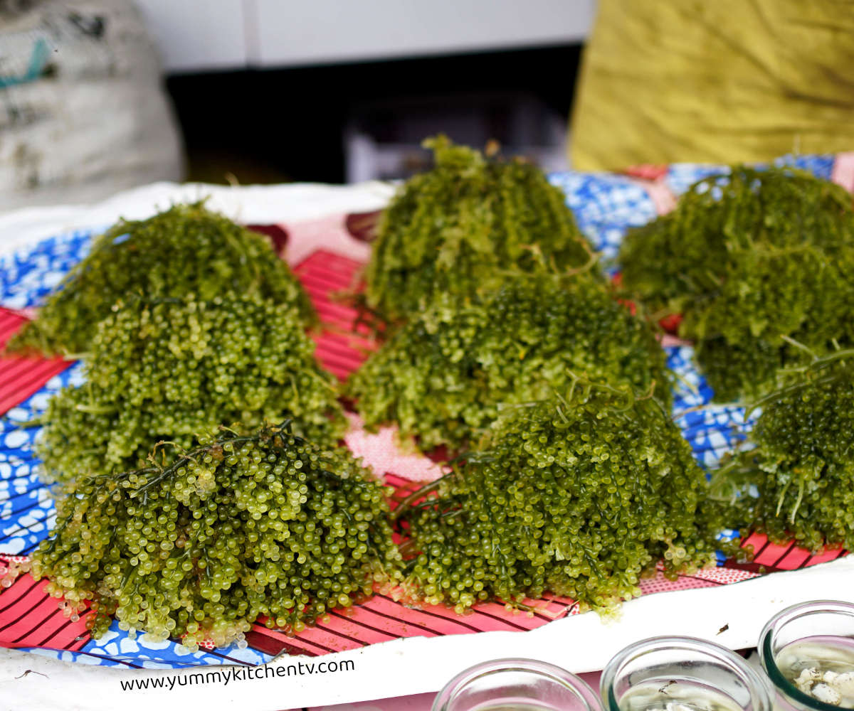 What is Seaweed ? An short history, types, and benefits - Yummy Kitchen