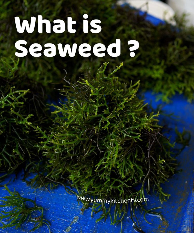 What is Seaweed ? An short history, types, and benefits - Yummy Kitchen
