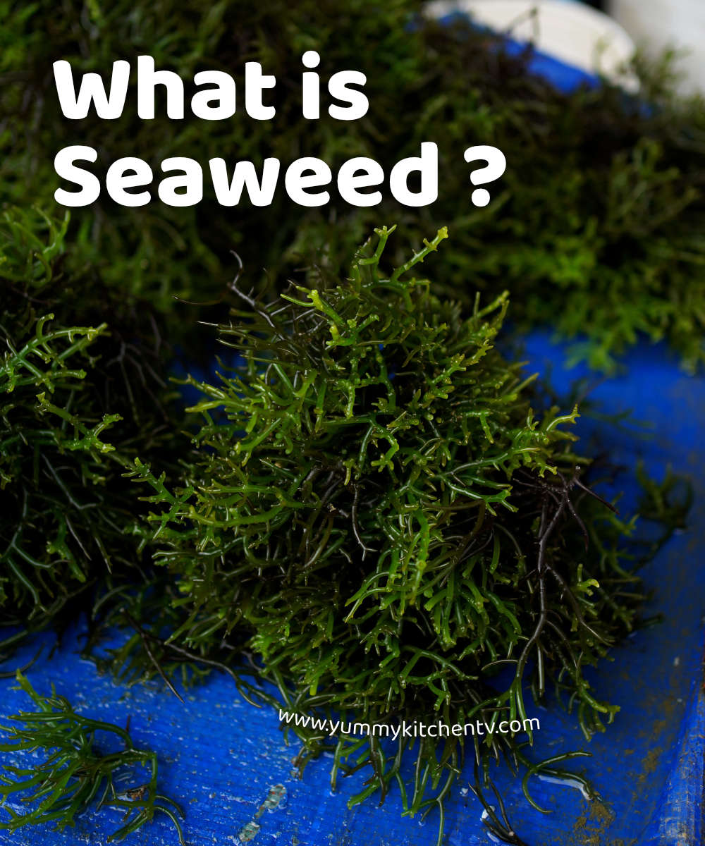 What is Seaweed ? An short history, types, and benefits - Yummy Kitchen