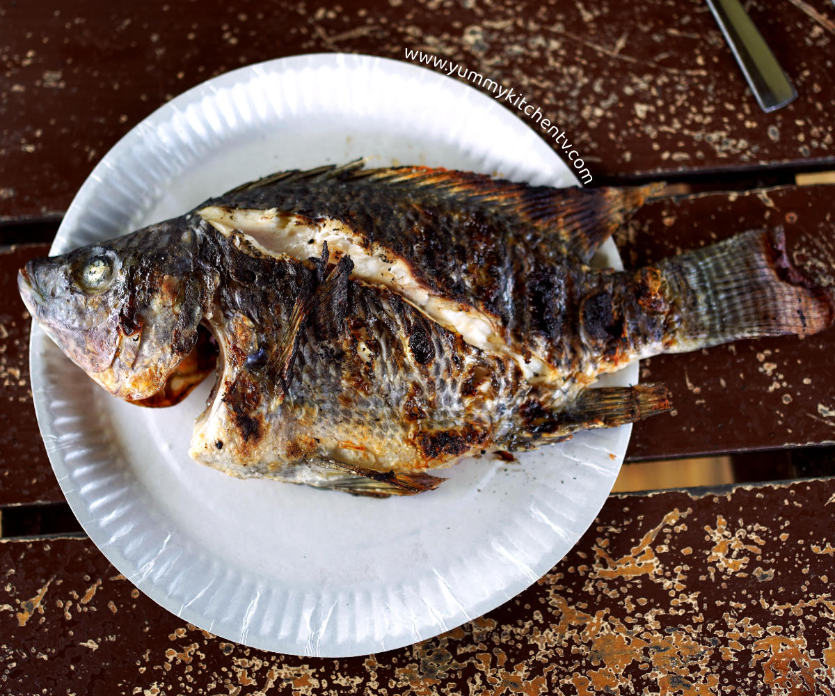 What is Tilapia ? a versitle easy to cook fish - Yummy Kitchen