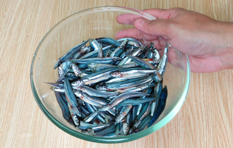 Kinilaw na Dilis: A Fresh and Flavorful Filipino Delight - Yummy Kitchen