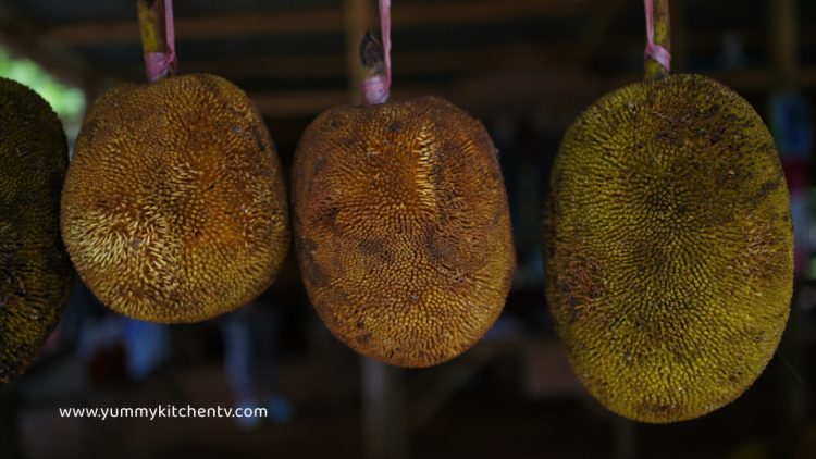 Marang Fruit - An interesting tropical fruit you have never heard of ...