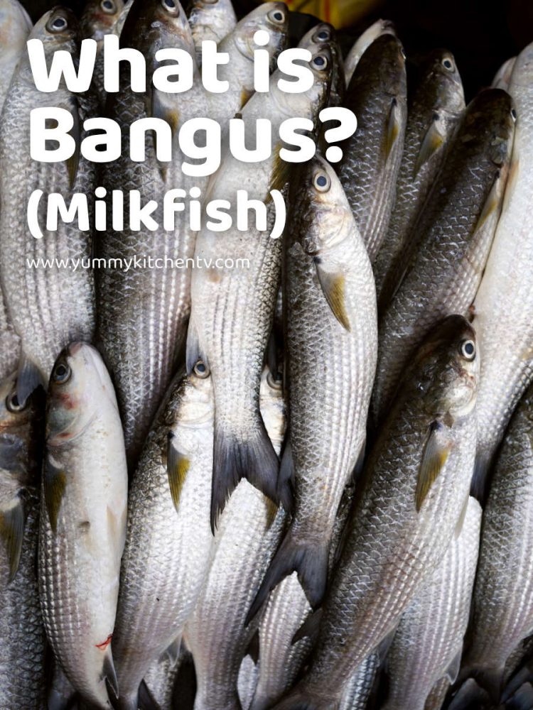 Bangus or Milkfish ? The National fish of the Philippines - Yummy Kitchen