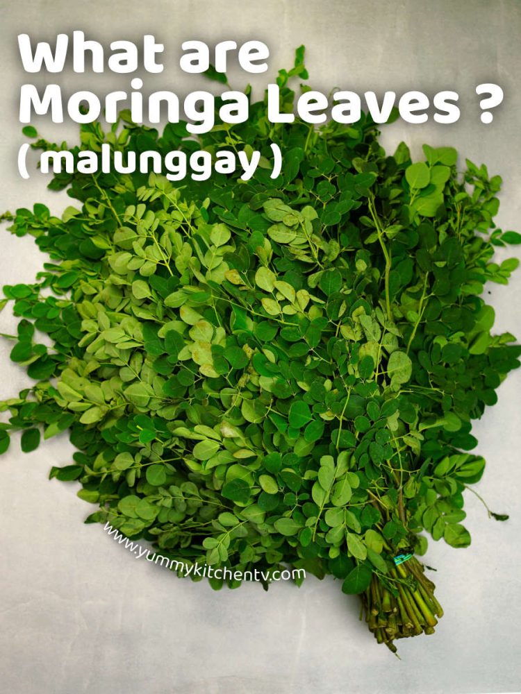 Why try Moringa Leaves ? An Introduction and Benefits - Yummy Kitchen