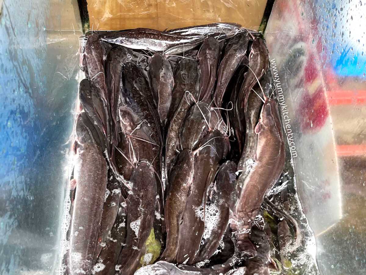 The delicate and subtly sweet Hito (Catfish) - Yummy Kitchen