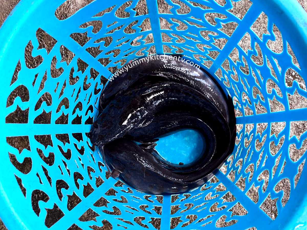 The delicate and subtly sweet Hito (Catfish) - Yummy Kitchen