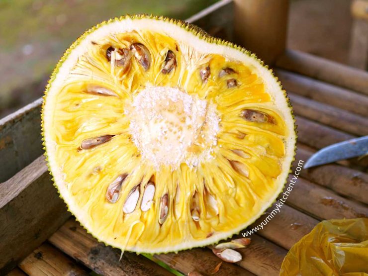 Pechay - A Crisp, Fibrous Filipino Vegetable ( Filipino ‘Bok Choy ...