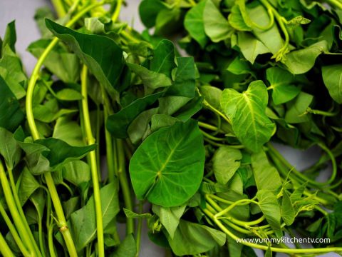 The Sustainable Water Spinach (KangKong) - Yummy Kitchen