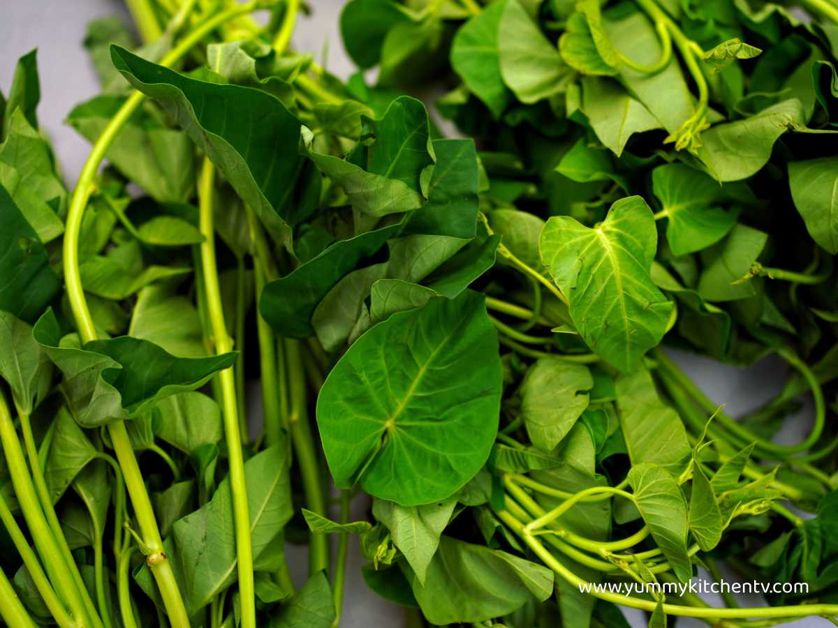 The Sustainable Water Spinach (KangKong) - Yummy Kitchen