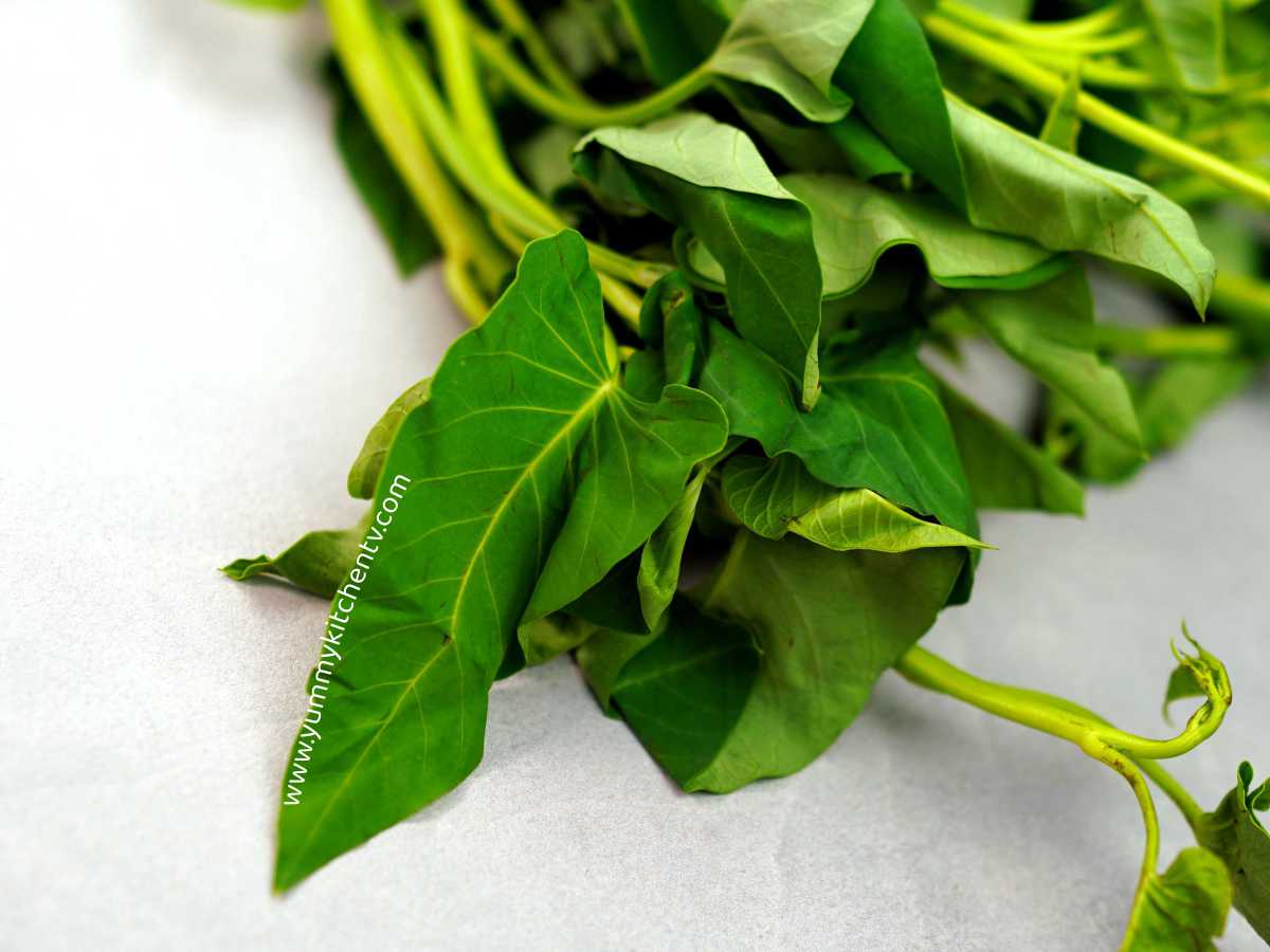 The Sustainable Water Spinach (KangKong) - Yummy Kitchen