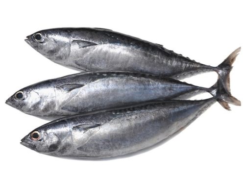 Ginataang Tulingan with Talong - Yummy Kitchen