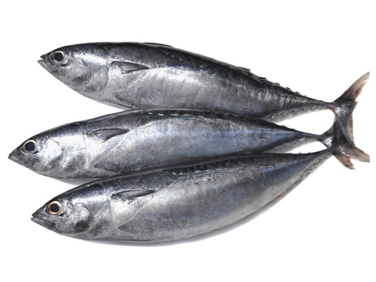 Ginataang Tulingan with Talong - Yummy Kitchen