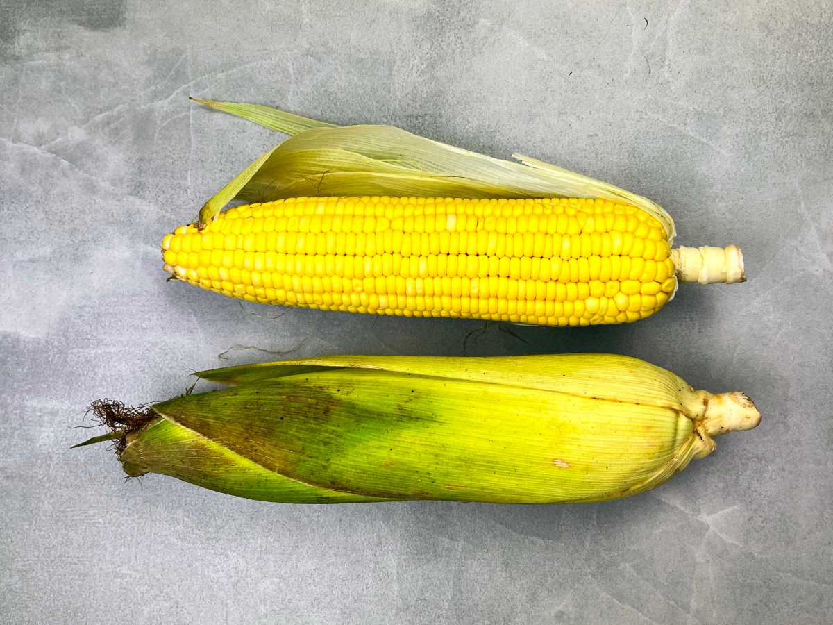 Graham Crackers - History, Facts, and Recipes - Yummy Kitchen