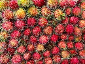 What is Marang Fruit ? An interesting tropical fruit - Yummy Kitchen