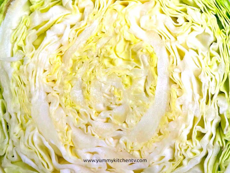 Cabbage or Repolyo ( The modest gut healing vegetable ) - Yummy Kitchen