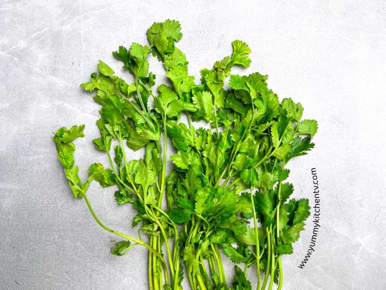 Cilantro ( also called "Coriander" or "Wansoy" ) - Yummy Kitchen