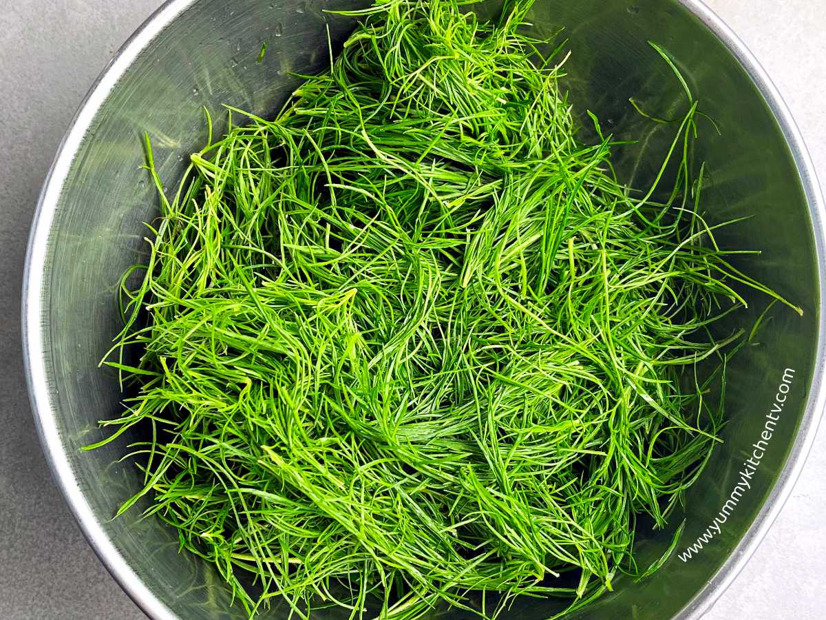 Dill - An Aromatic Refreshing Herb ( History, Benefits, and Recipes ...
