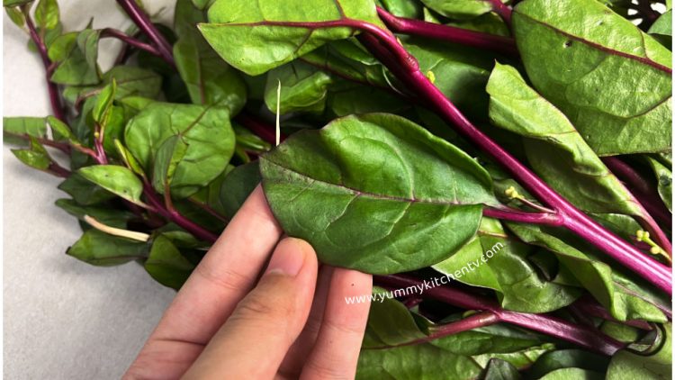 Malabar Spinach ( or “Malabar Spinach” ) - Yummy Kitchen