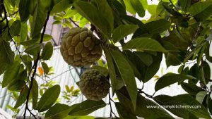 Atis or " Custard Apple " or " Sugar Apple " - Yummy Kitchen